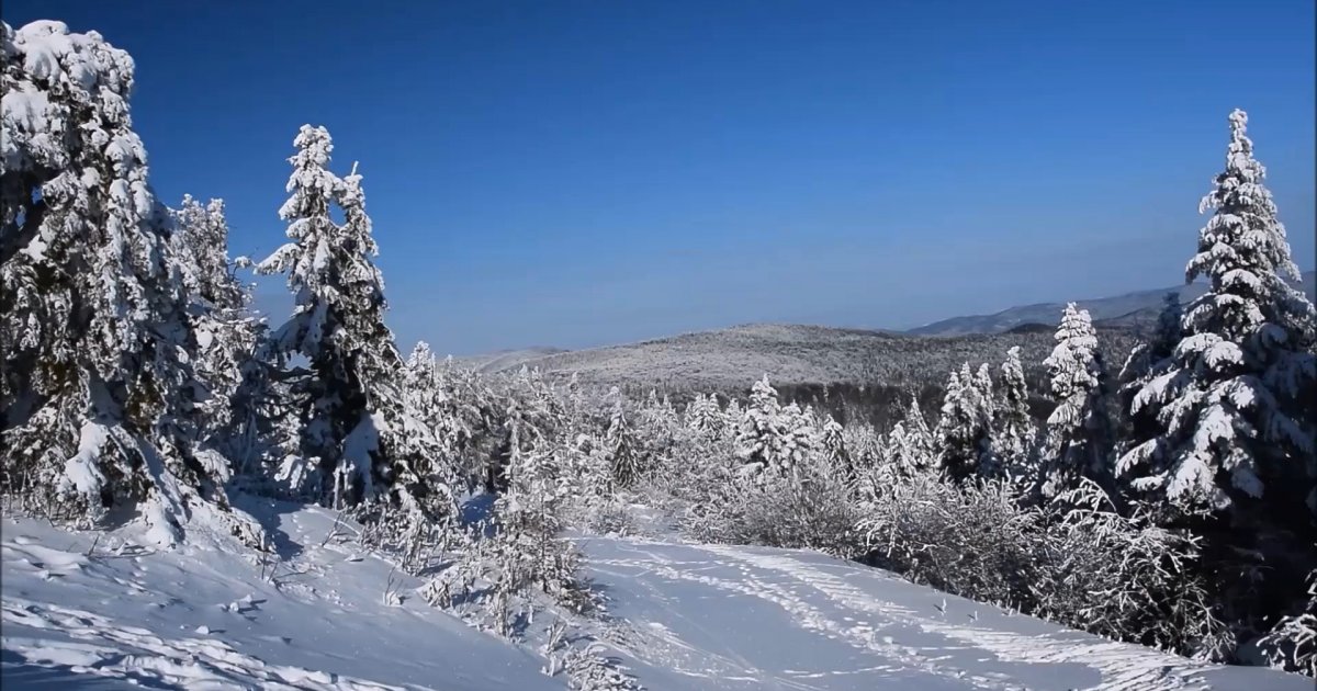 Hotel SPA w Górach z Basenem dla Dzieci - Wierchomla