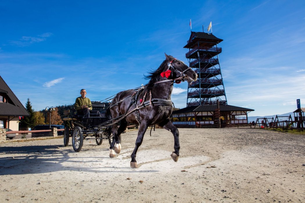 Galeria Zdjęć - Zobacz Nasz Hotel SPA w Beskidach | Beskidzki Raj***