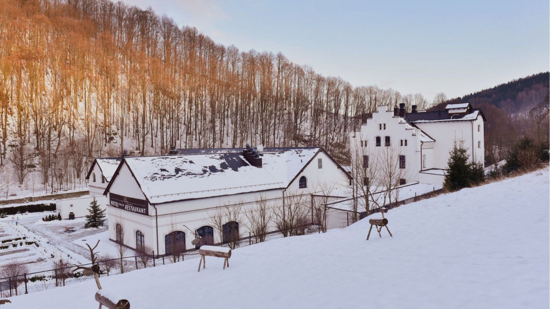 Hotel w Górach Sowich | Hotel Pałac Jugowice | Noclegi w Górach Sowich