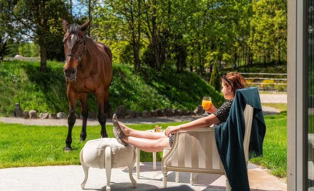 Hotel z basenem, SPA, wypoczynek, sala na wesele na Kaszubach - Hotel ...