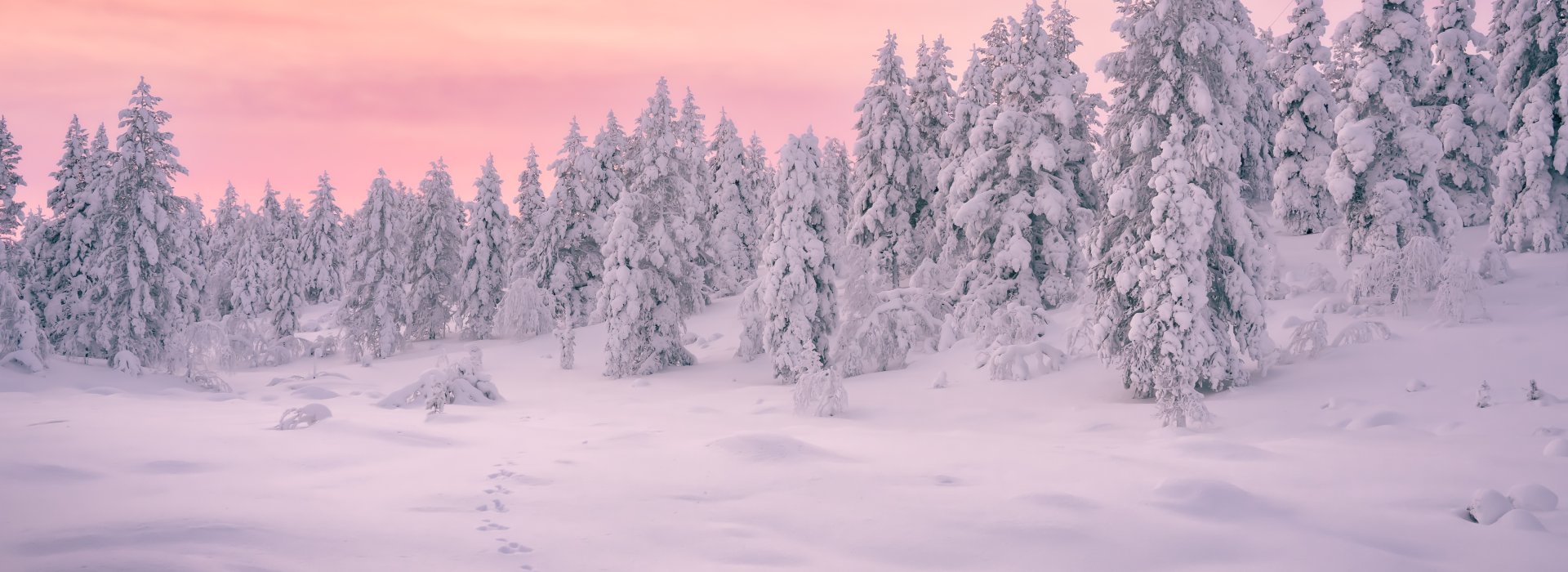 Wilderness Hotel Nellim | Finnish Lapland