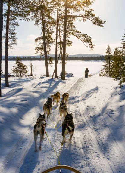 Wilderness Hotel Nellim