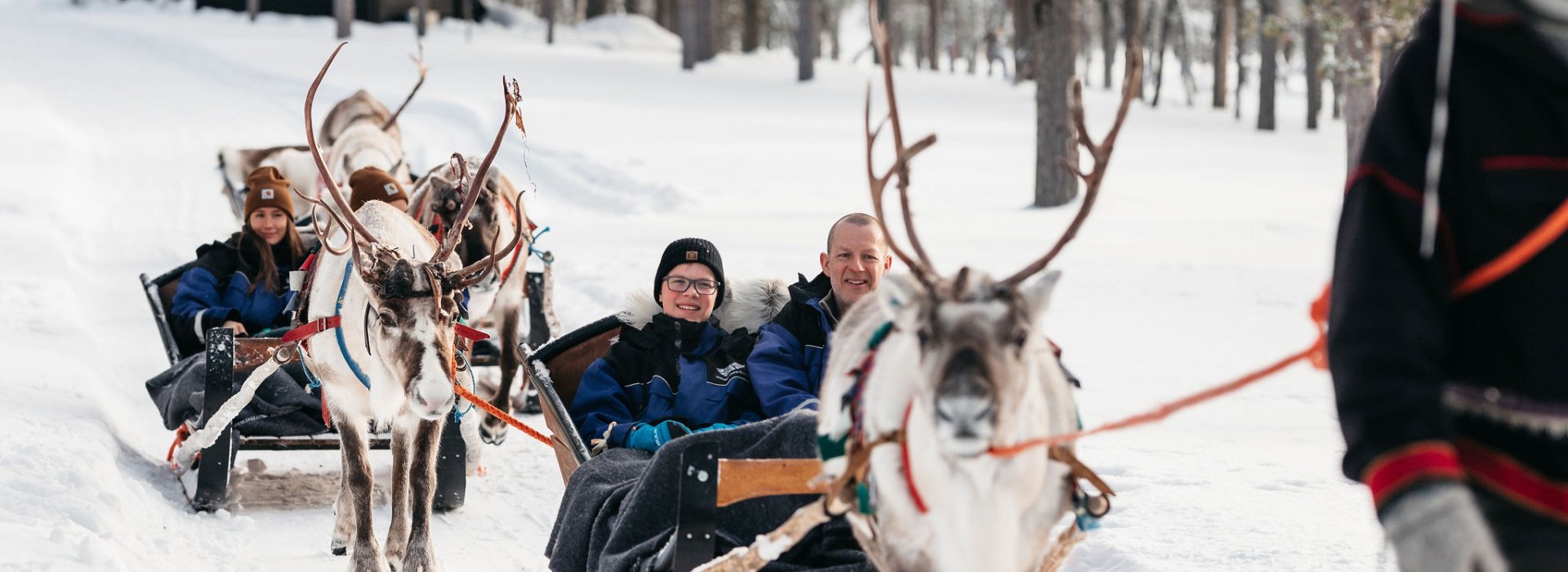 Glass-roofed Resort Under The Aurora Borealis | Northern Lights Village ...