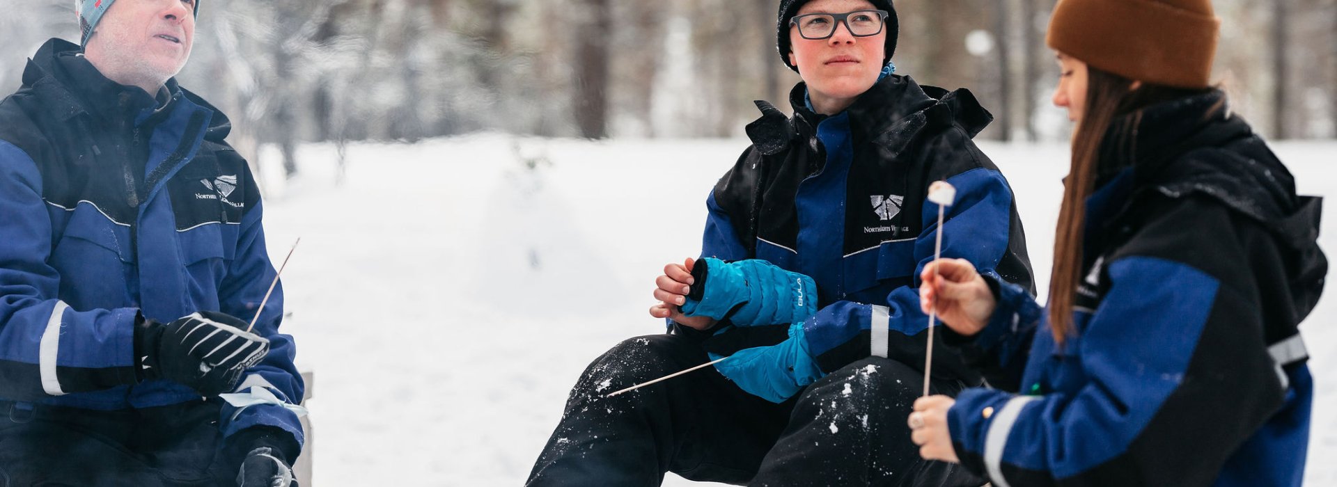 Glass-roofed Resort Under The Aurora Borealis | Northern Lights Village ...