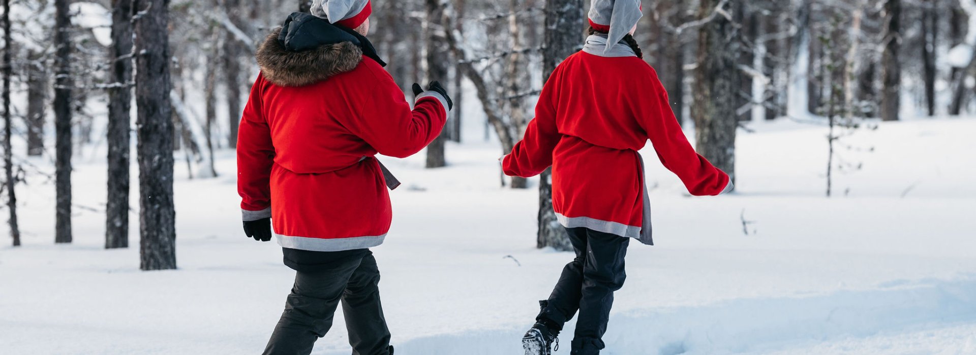 Glass-roofed Resort Under The Aurora Borealis | Northern Lights Village ...